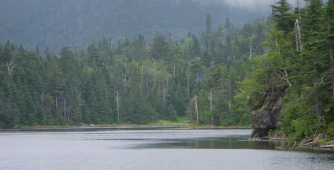 Oral Surgery Williamsville NY, Oral Surgeon