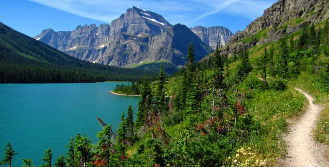 Oral Surgery Williamsville NY, Oral Surgeon