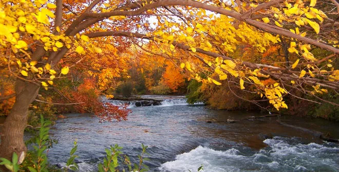 Oral Surgery Williamsville NY, Oral Surgeon