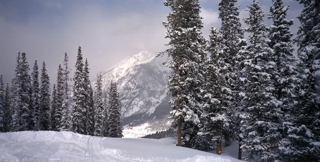 Oral Surgery Williamsville NY, Oral Surgeon